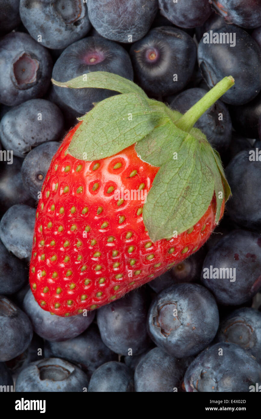 Strawberry in the middle of blueberries Stock Photo - Alamy