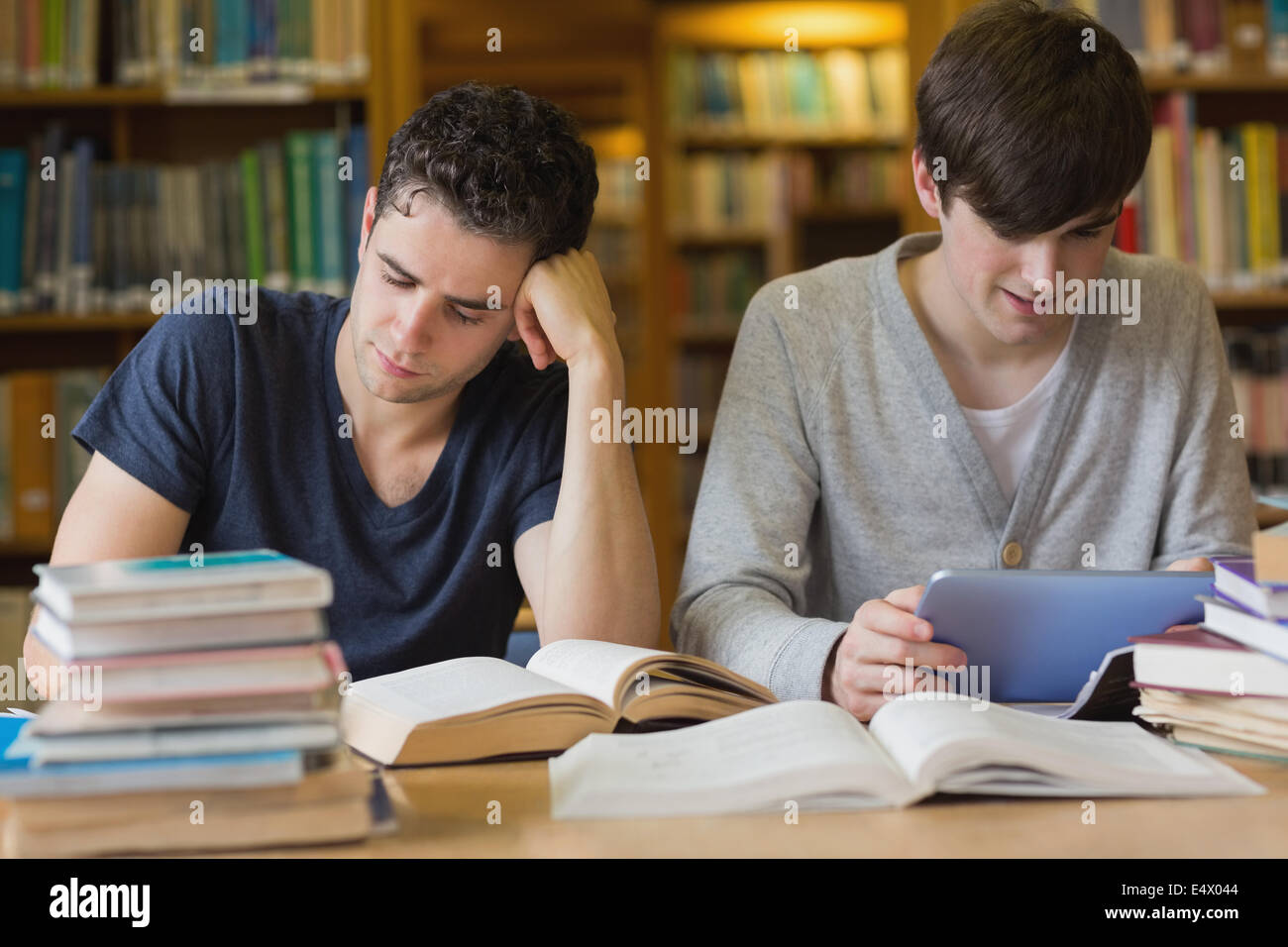 Students studying in the library Stock Photo - Alamy