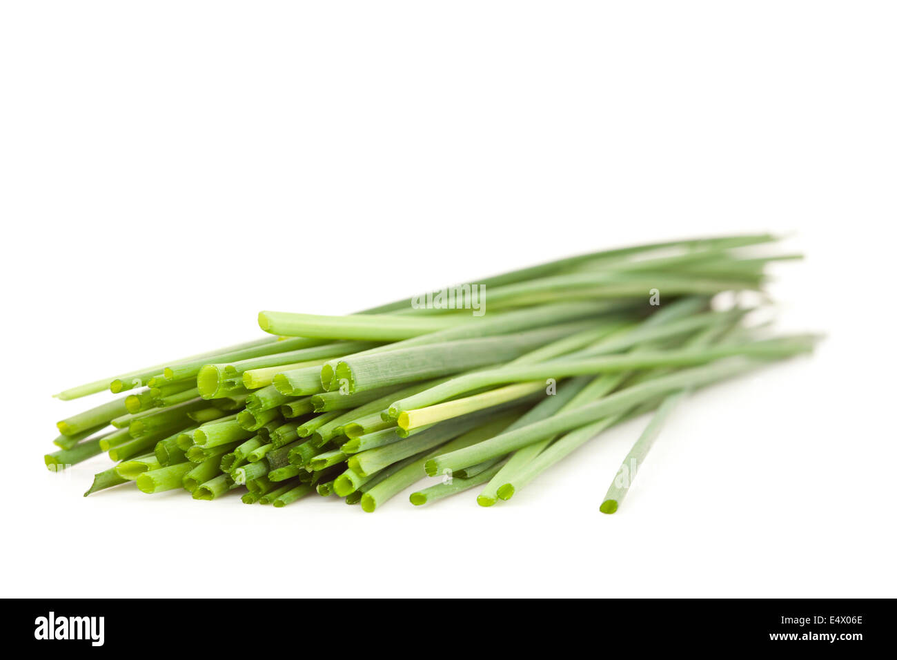 Branches close shot Cut Out Stock Images & Pictures - Alamy