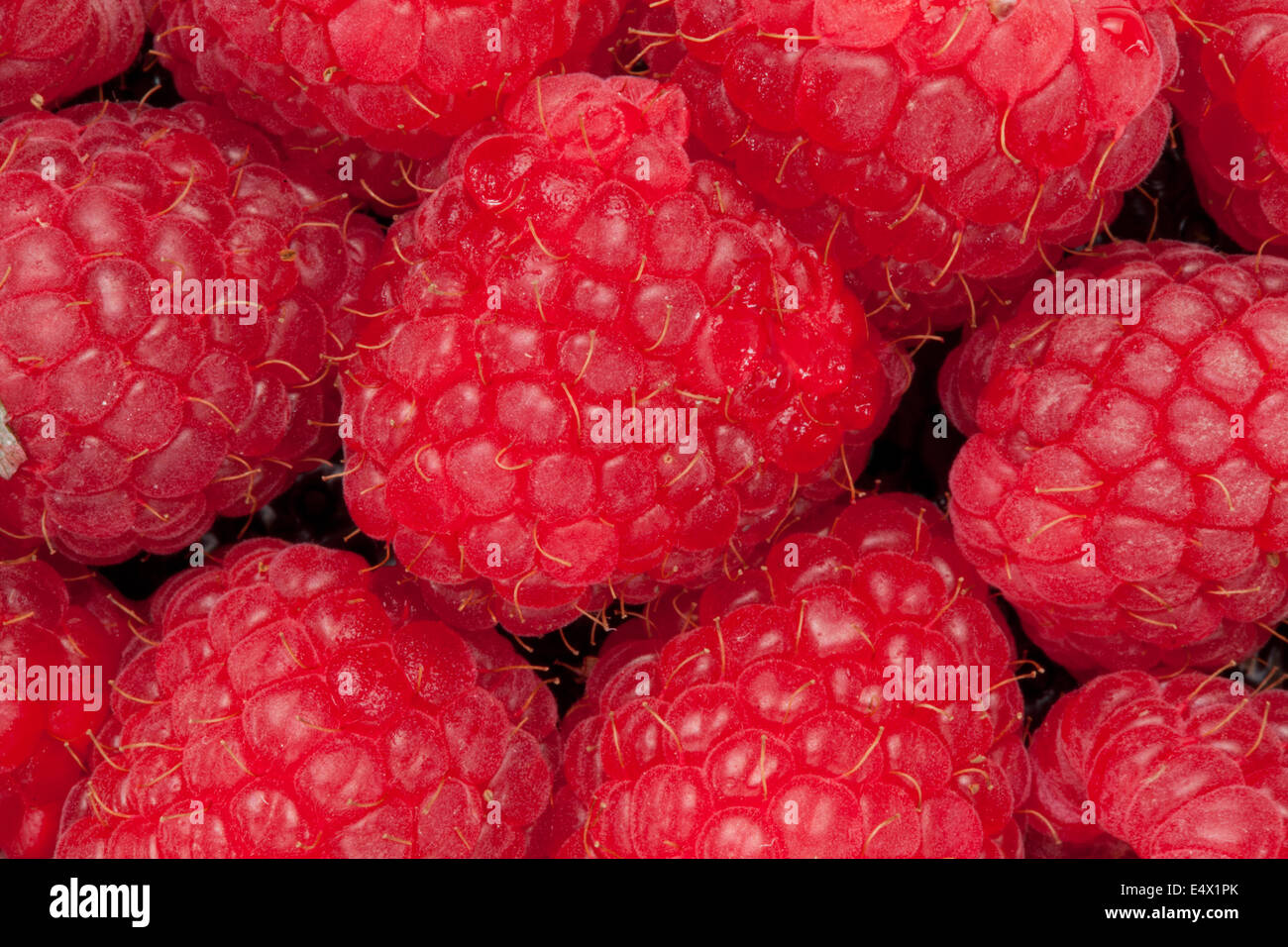 Heap of raspberry Stock Photo - Alamy