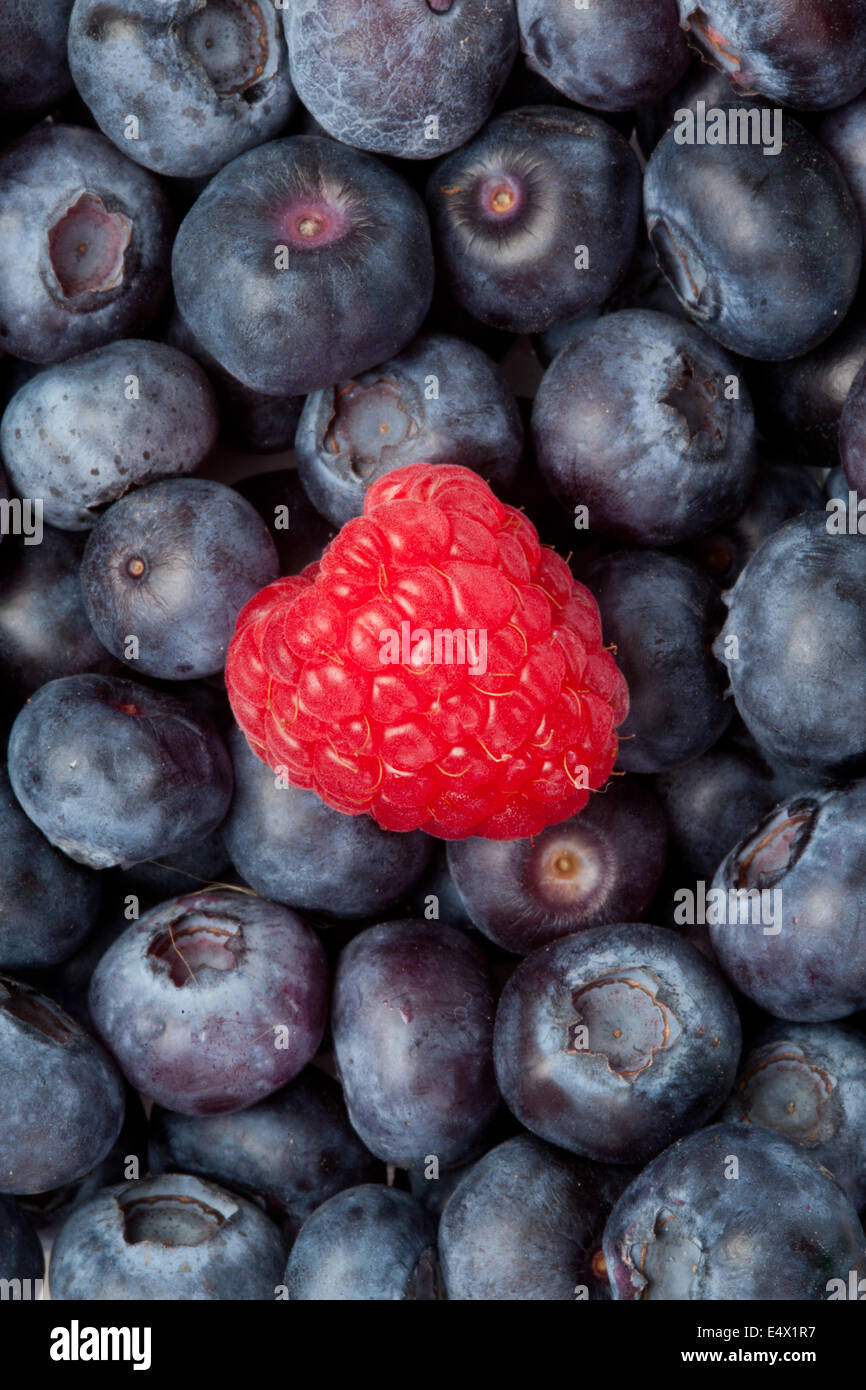 Raspberry in the middle of blueberries Stock Photo - Alamy