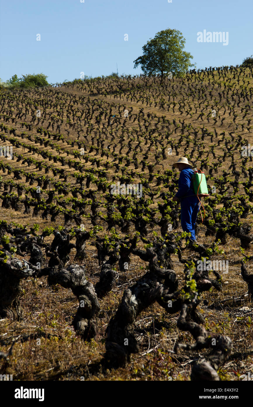 Great walk of Saint James, Jakobsweg, Camino de Santiago, Spain, España ...