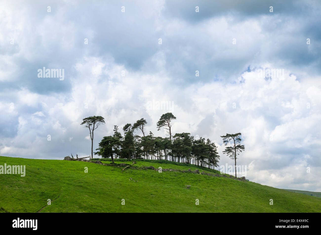 Lady Hill in Wensleydale Stock Photo - Alamy
