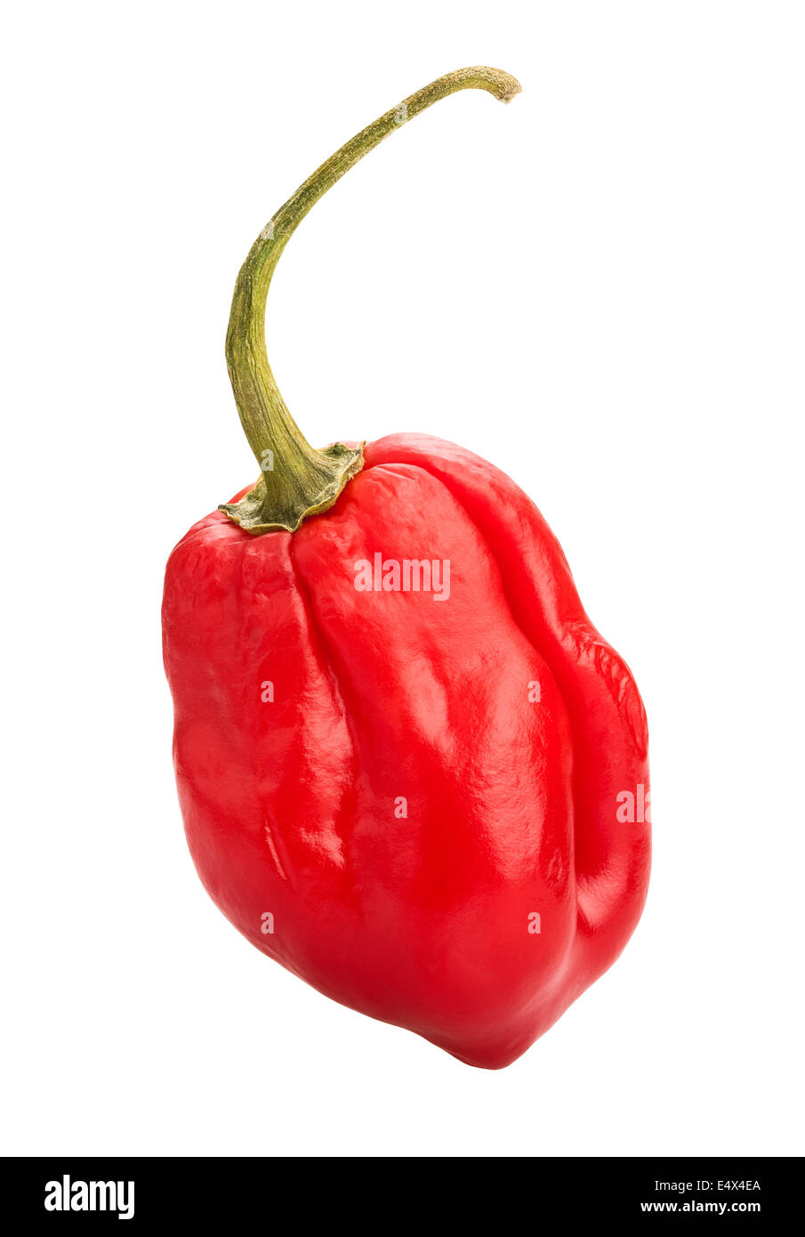 Chili hi-res stock photography and images - Alamy