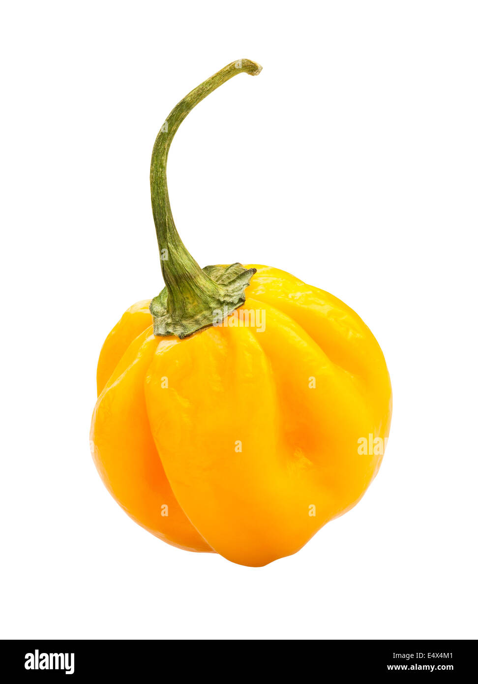 Fresh tasty yellow chili hi-res stock photography and images - Alamy