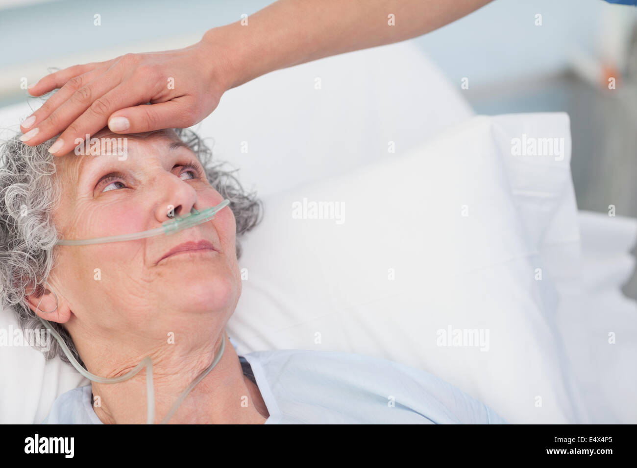 Nurse touching the forehead of a patient Stock Photo - Alamy