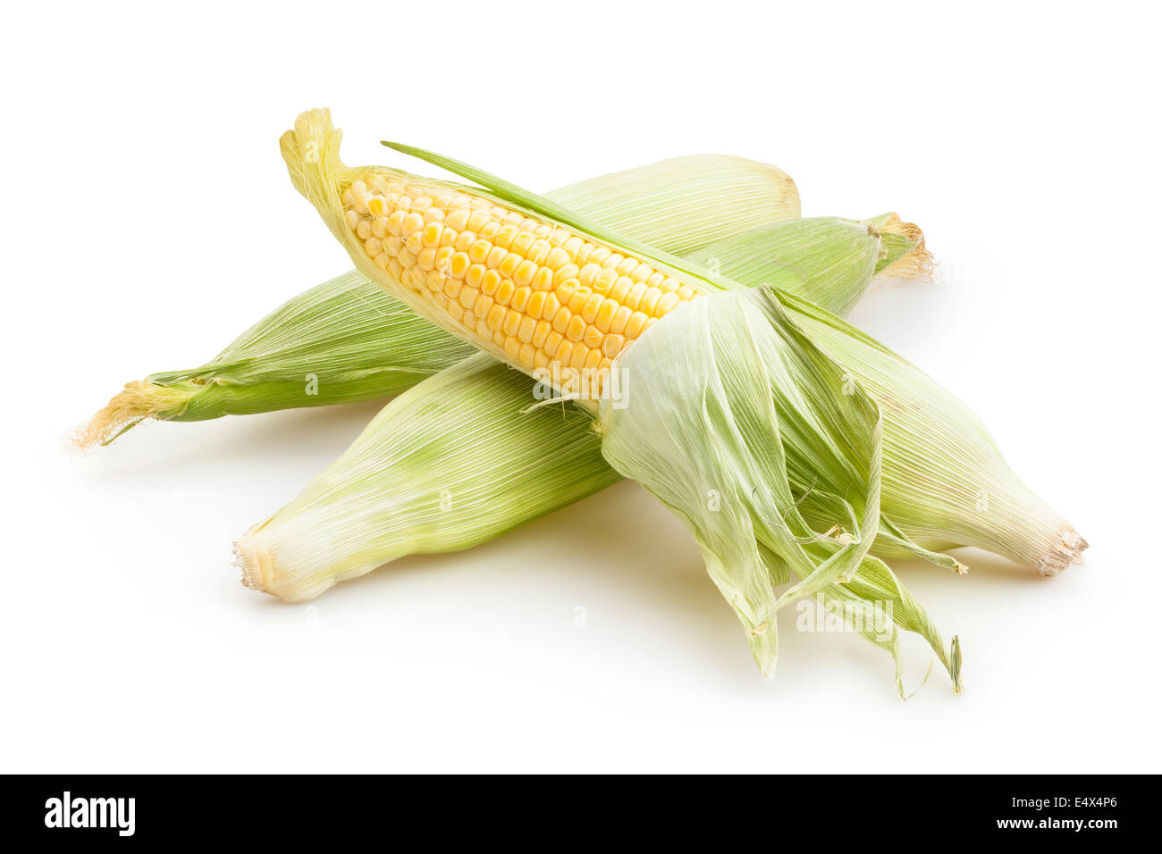 Green corn leaf hi-res stock photography and images - Alamy