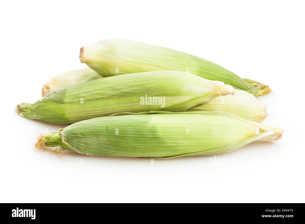 Corn or green maize hi-res stock photography and images - Alamy