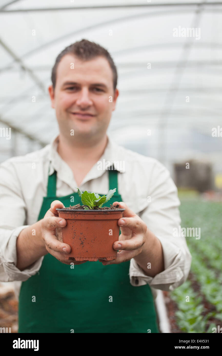 Cheerful gardener holding a plant Stock Photo - Alamy