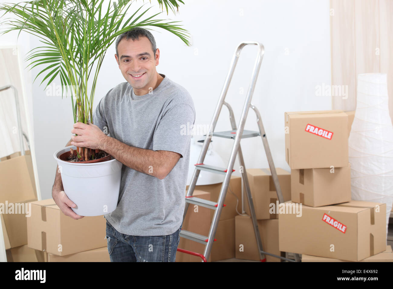 Man moving house with a plant Stock Photo - Alamy