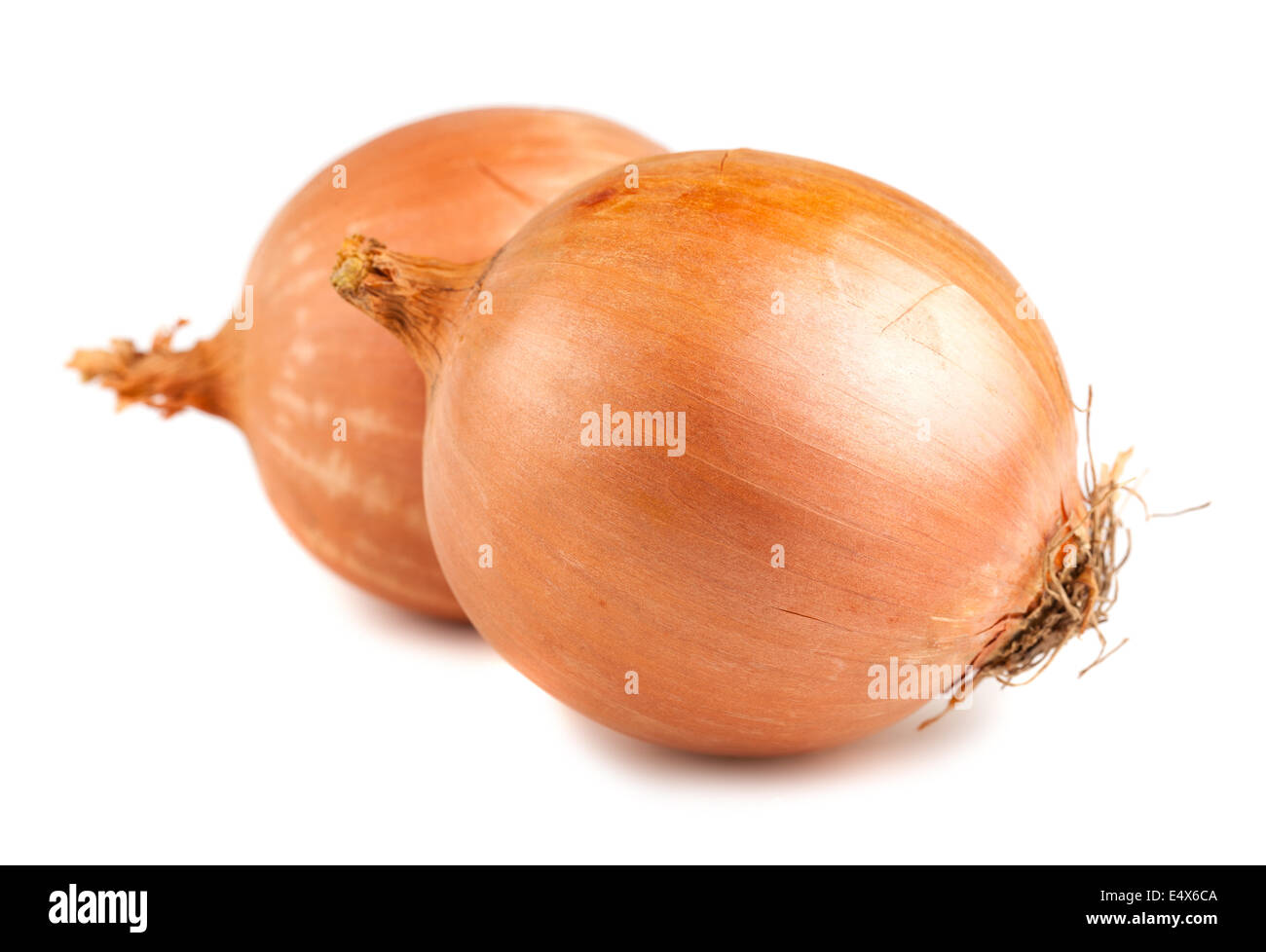 two ripe yellow onions Stock Photo - Alamy