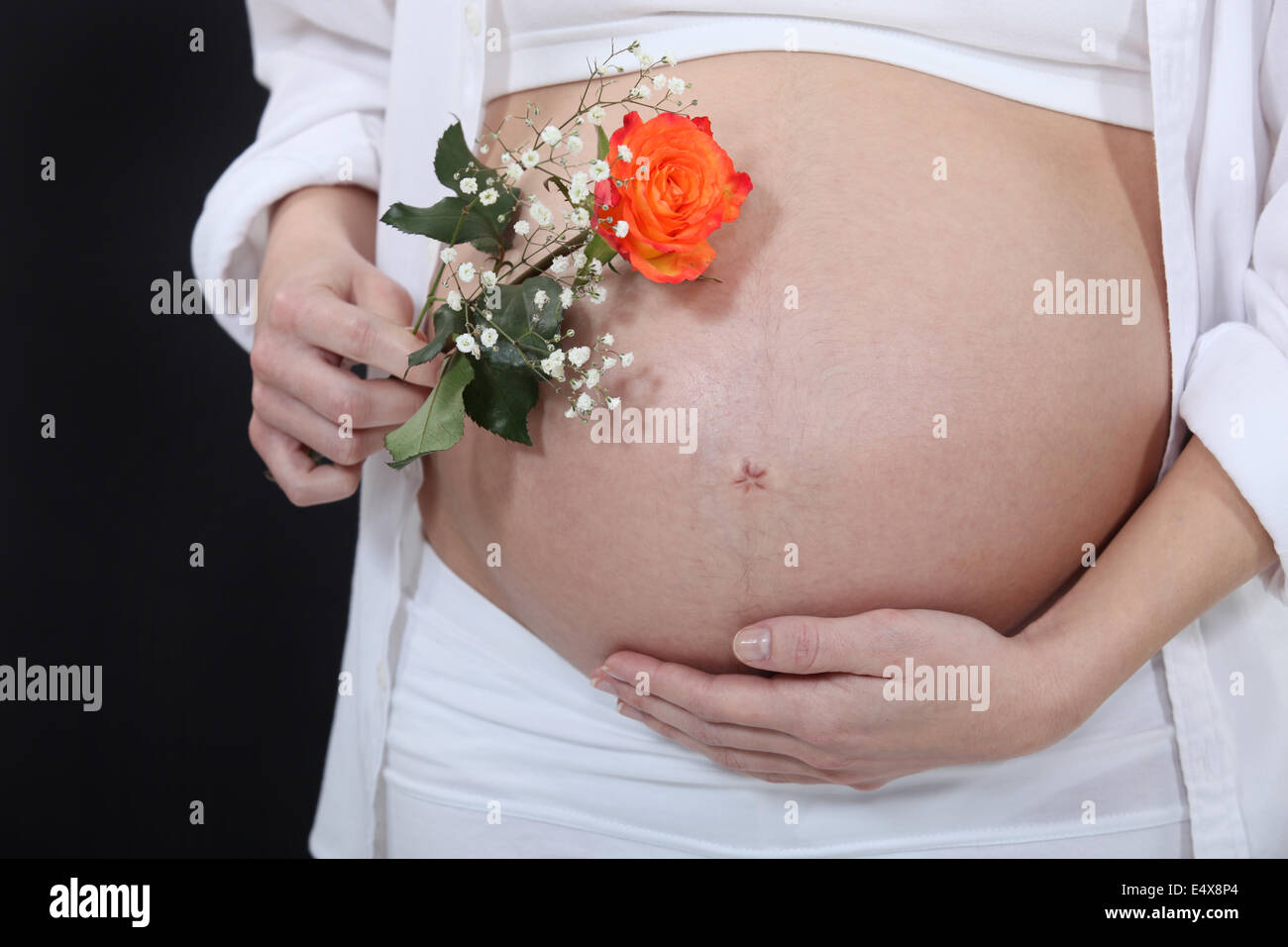 Birth flower is rose hi-res stock photography and images - Alamy