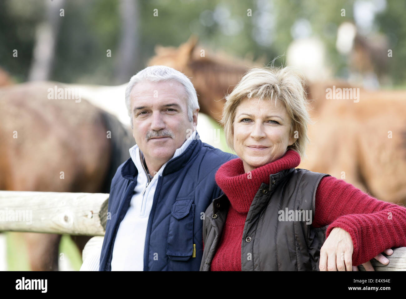 Man standing next horse hi-res stock photography and images - Alamy
