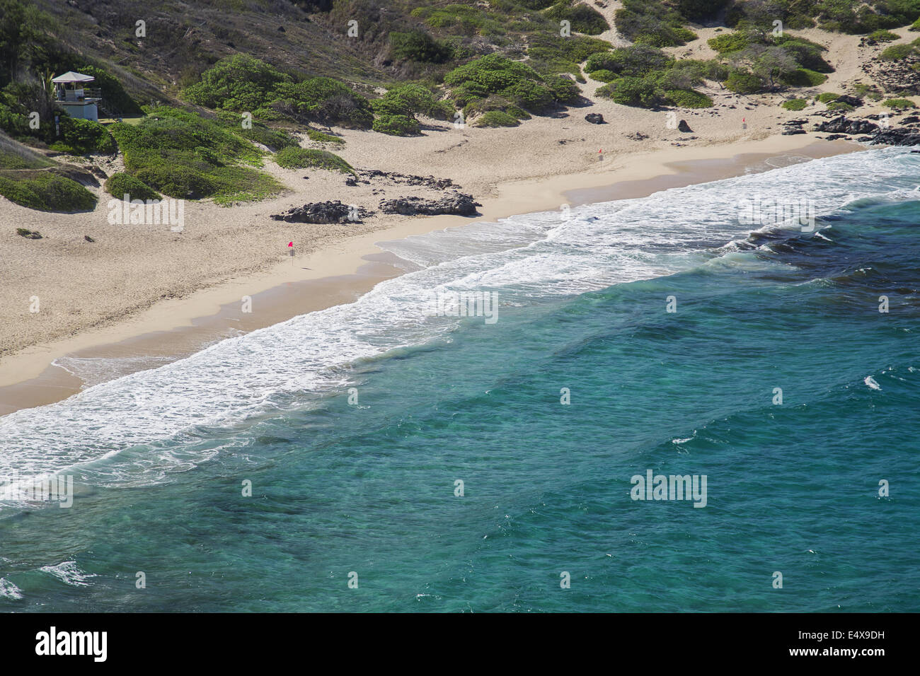 Beach shore hi-res stock photography and images - Alamy
