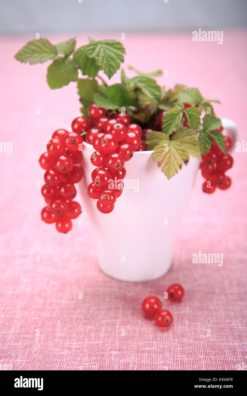 Currant berries hi-res stock photography and images - Alamy