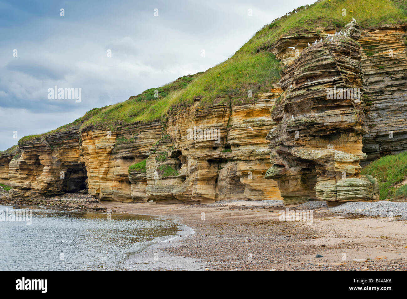 SANDSTONE STACK AND CLIFFS ON A BEACH FORMED FROM THE SAHARA DESERT 250 ...