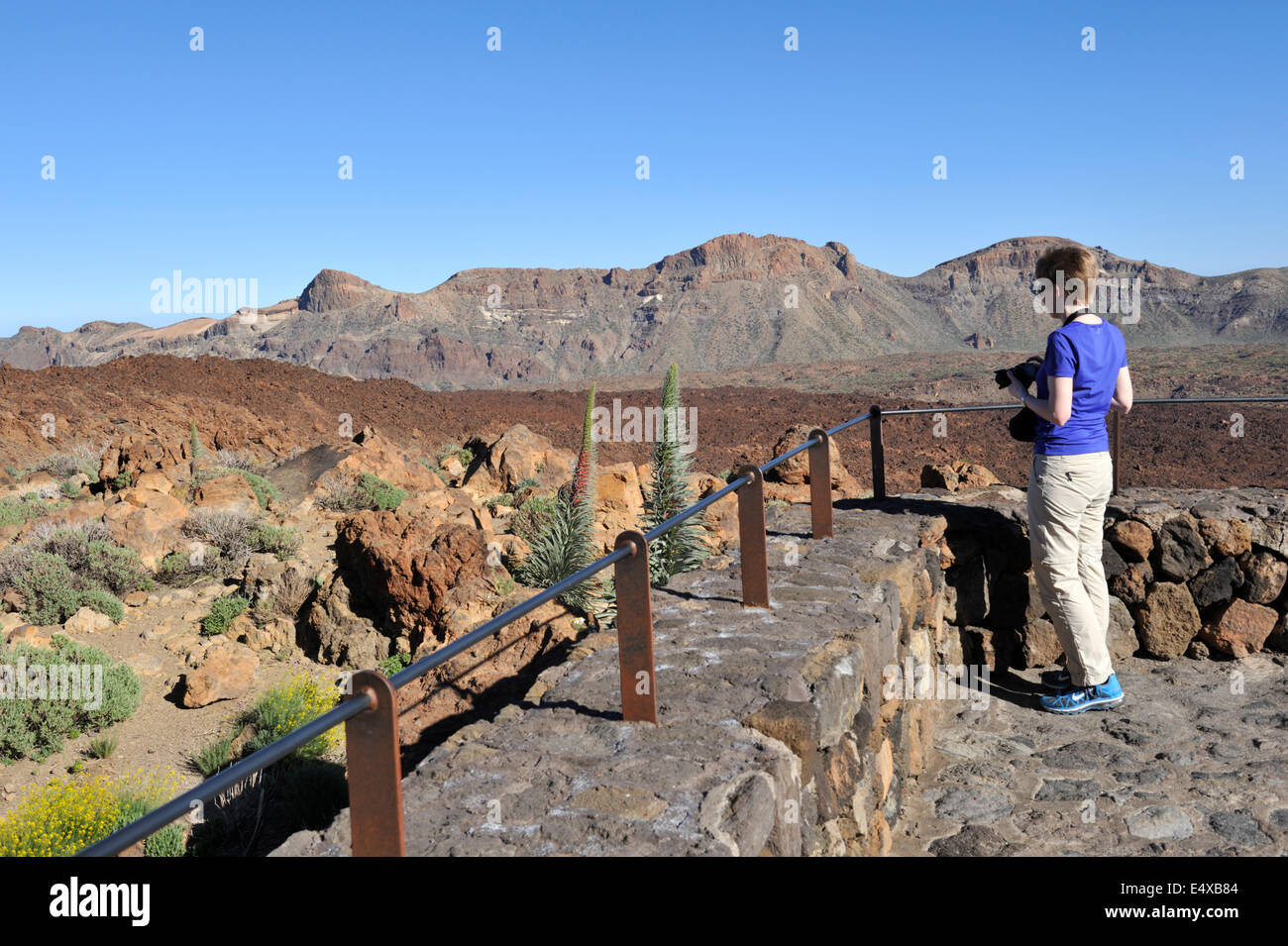 Visitor flow hi-res stock photography and images - Alamy