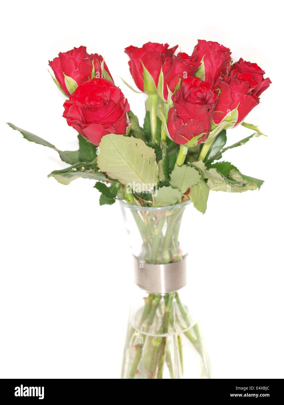 Red roses vase hi-res stock photography and images - Alamy