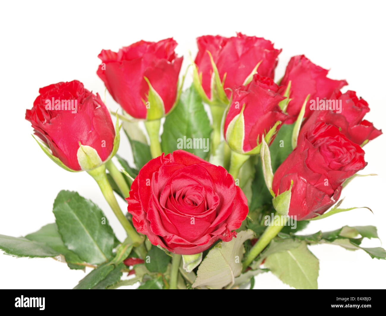 Red roses greetings hi-res stock photography and images - Alamy