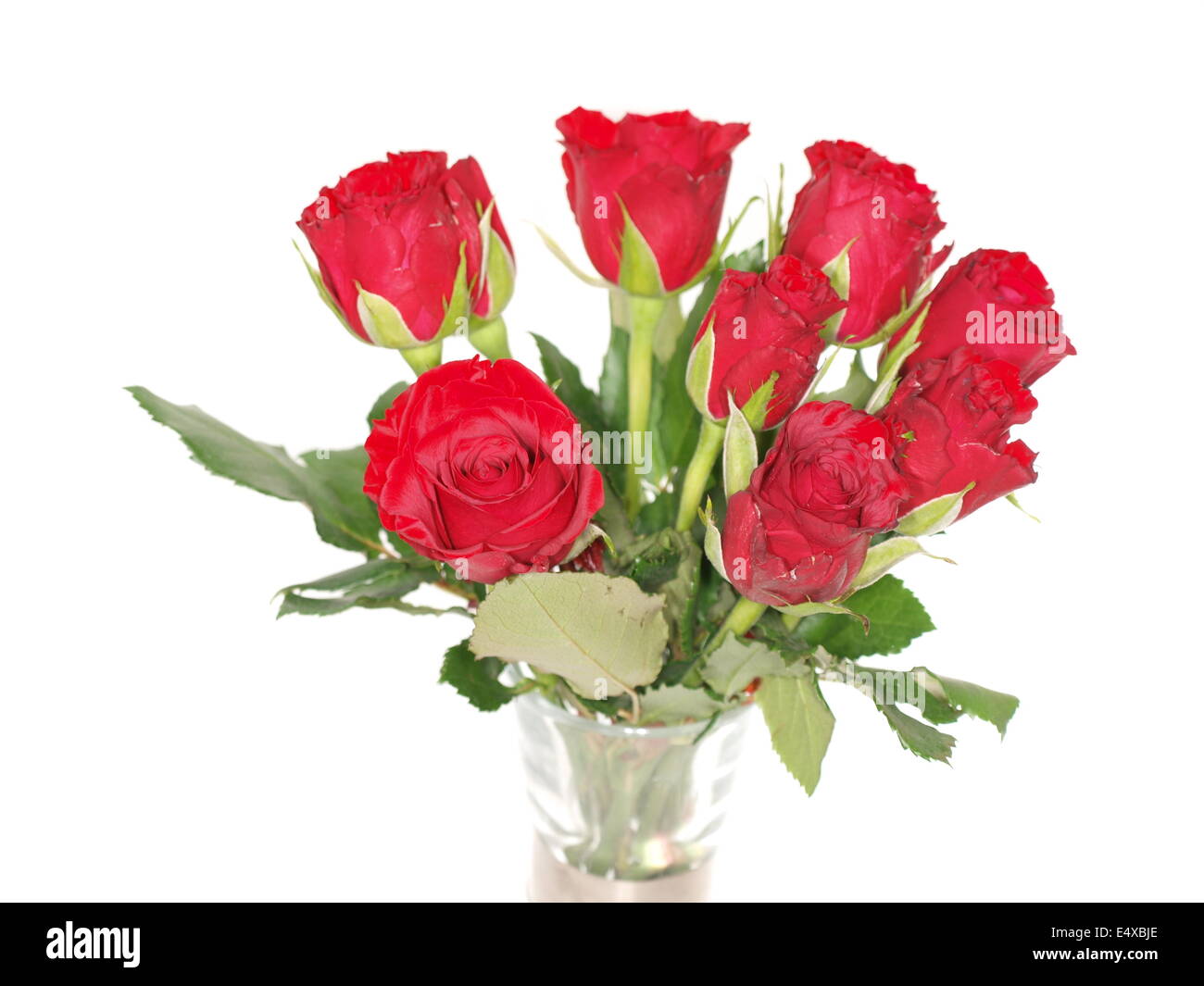 Red roses in vase Stock Photo - Alamy