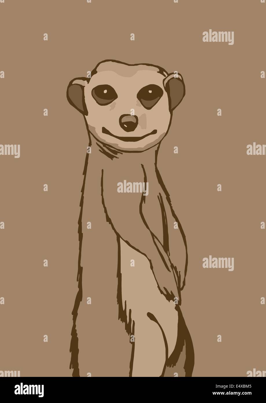 Suricato cartoon hi-res stock photography and images - Alamy