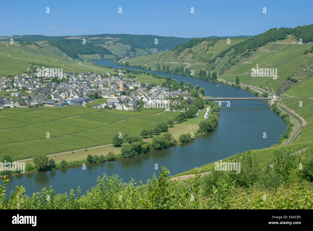 Village Mosel Trittenheim Germany Valley Stock Photos & Village Mosel ...