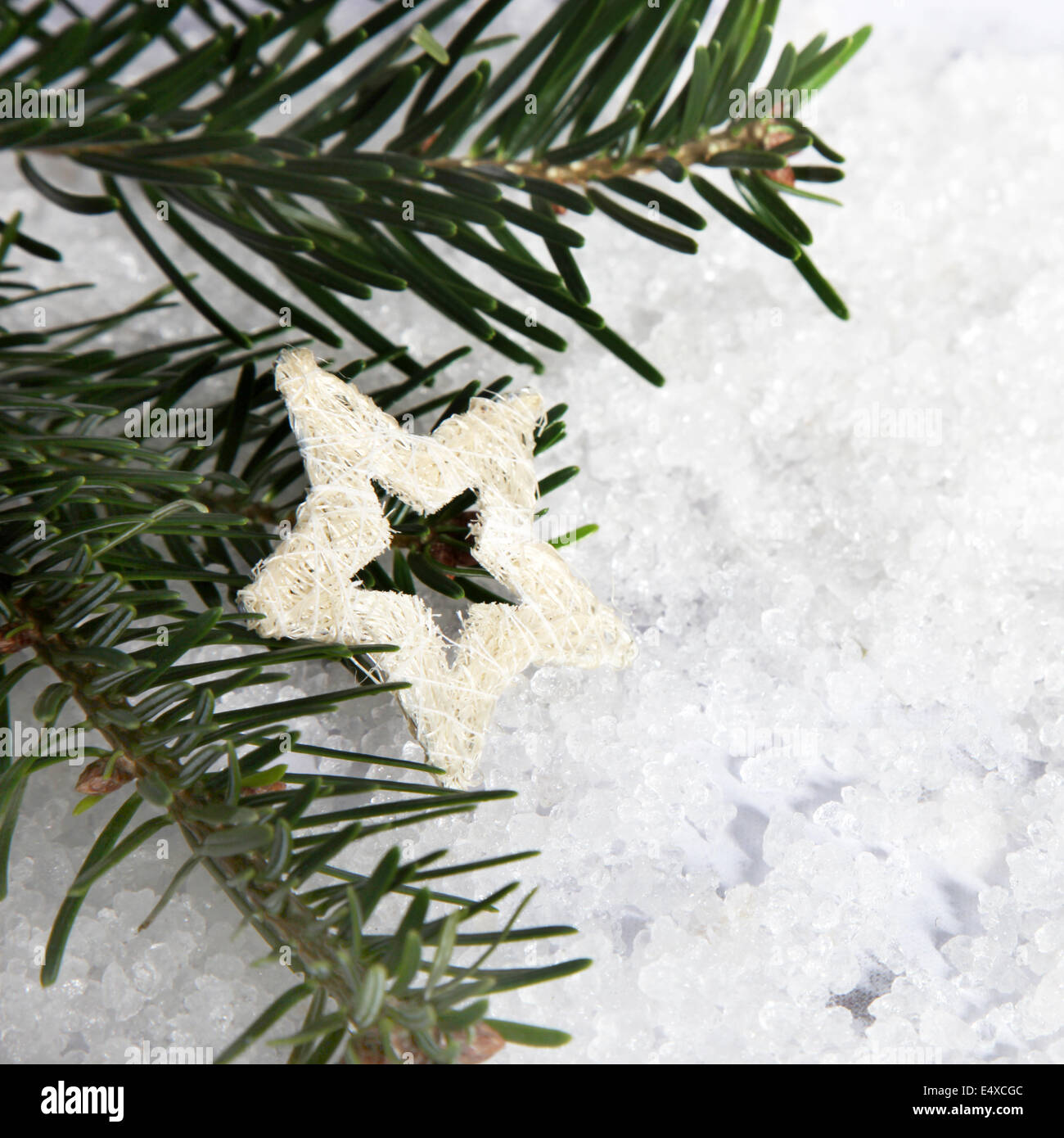 Christmas tree branches Stock Photo - Alamy