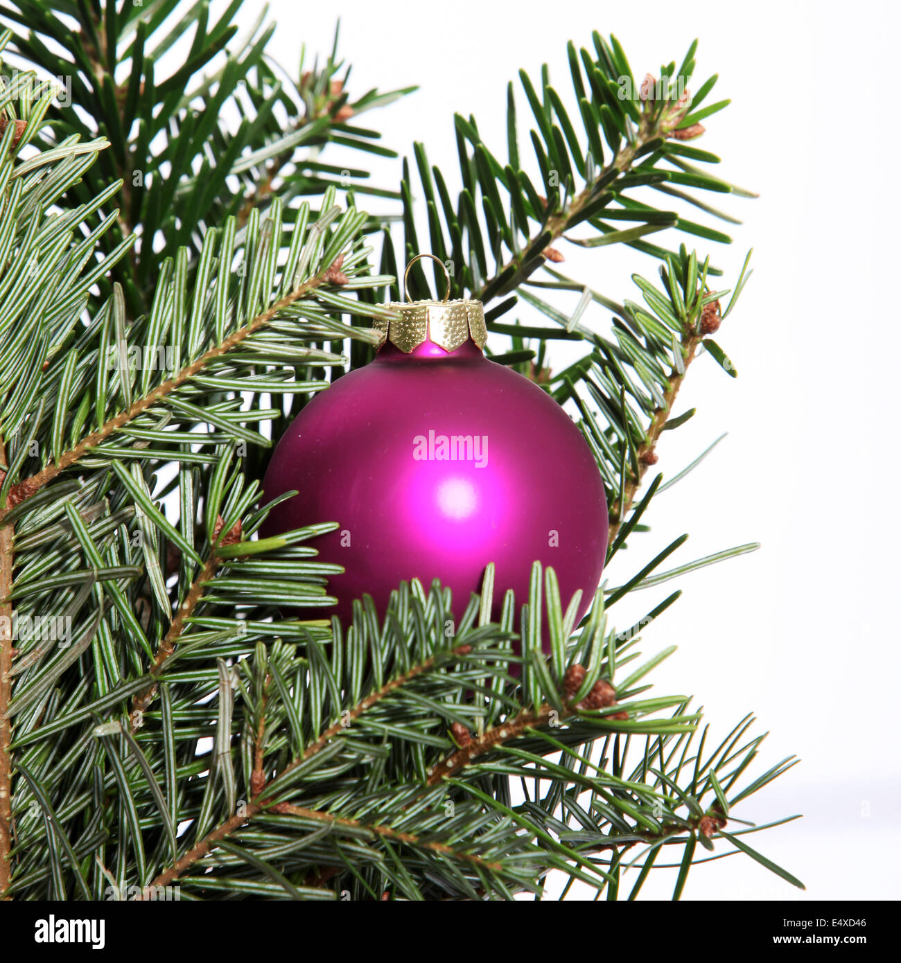 Single tree bauble hi-res stock photography and images - Alamy