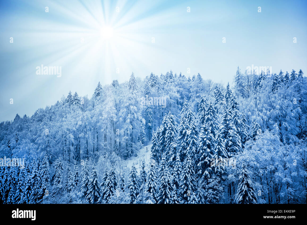 Hoarfrost trees hi-res stock photography and images - Alamy