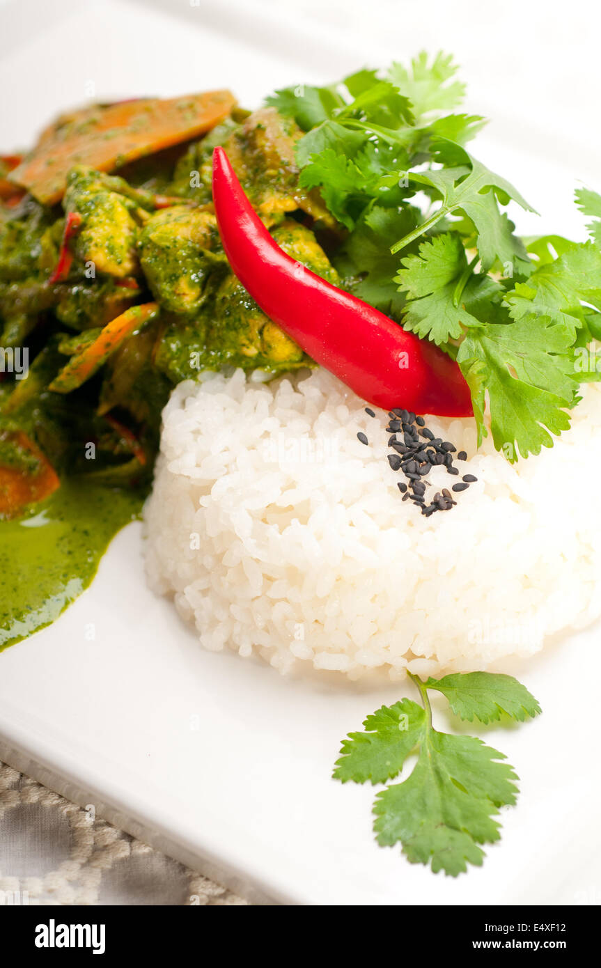 Chicken korma curry and rice hi-res stock photography and images - Alamy