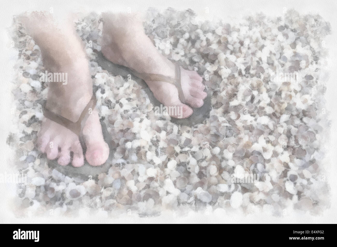 sea beach with shells and foot on Stock Photo - Alamy