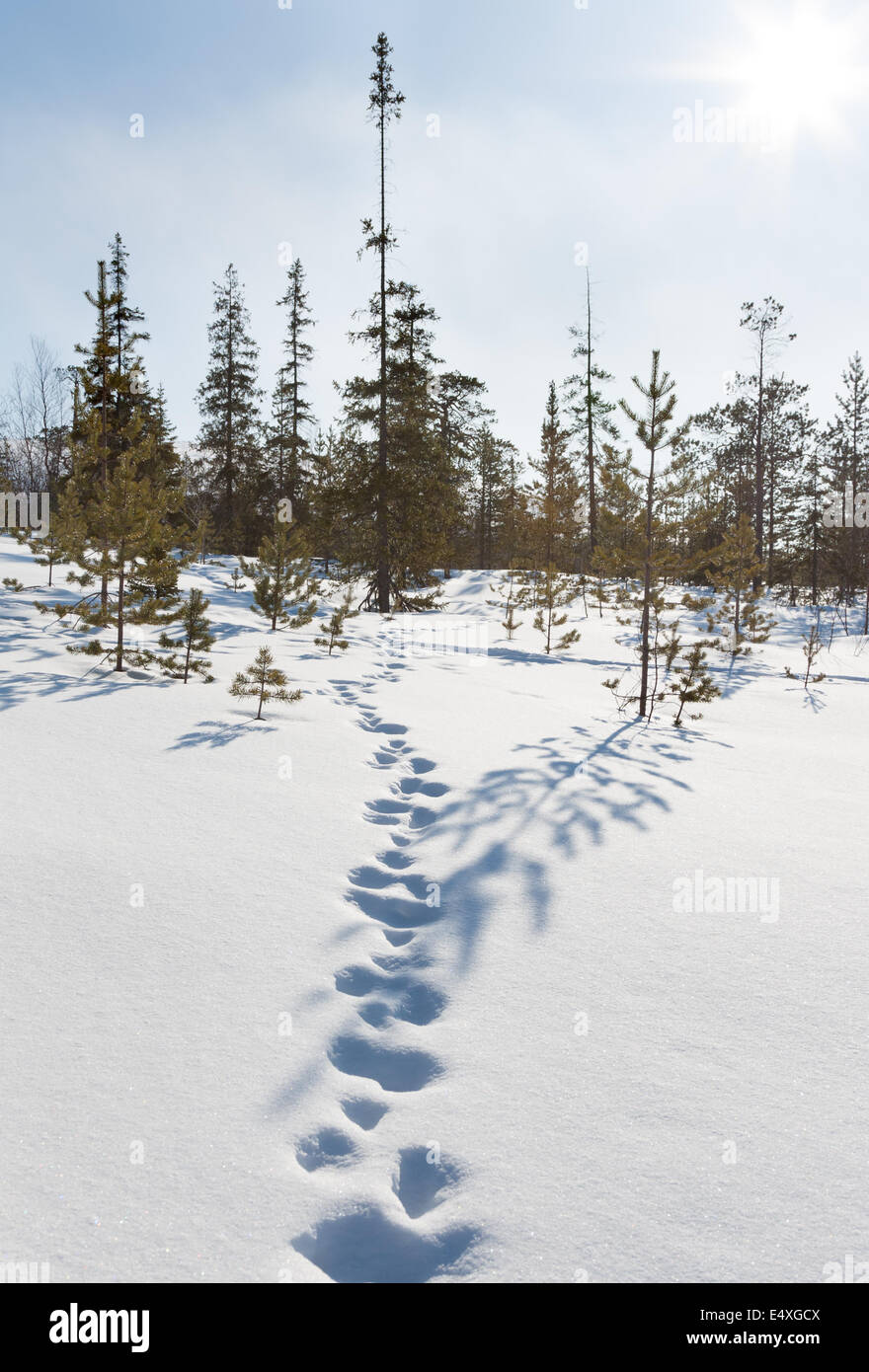 Deep snowy footprints hi-res stock photography and images - Alamy