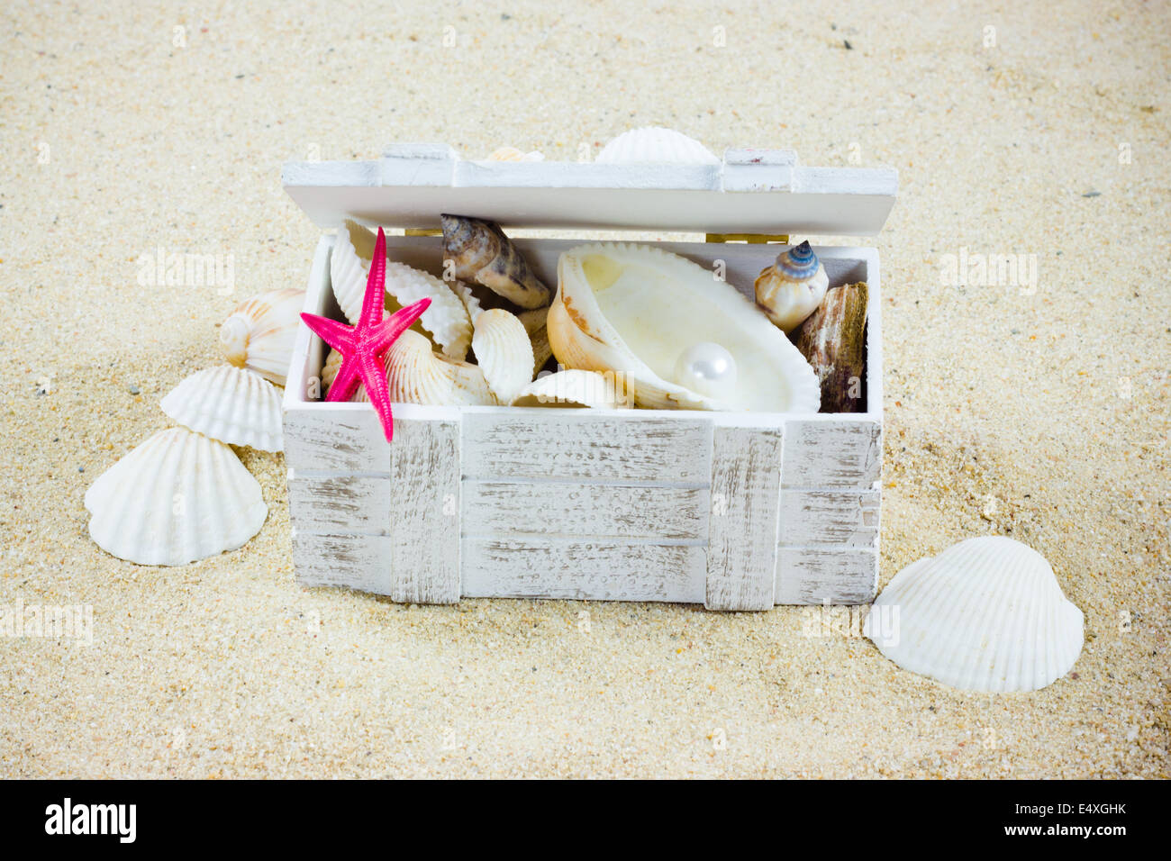 treasure from the sea Stock Photo - Alamy