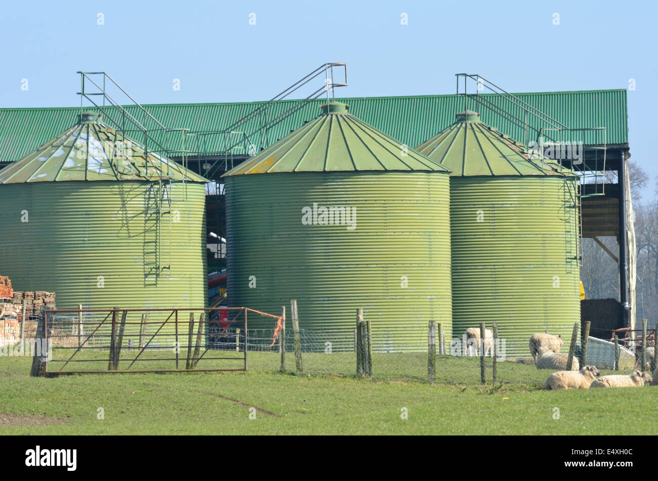 green farm silos Stock Photo - Alamy