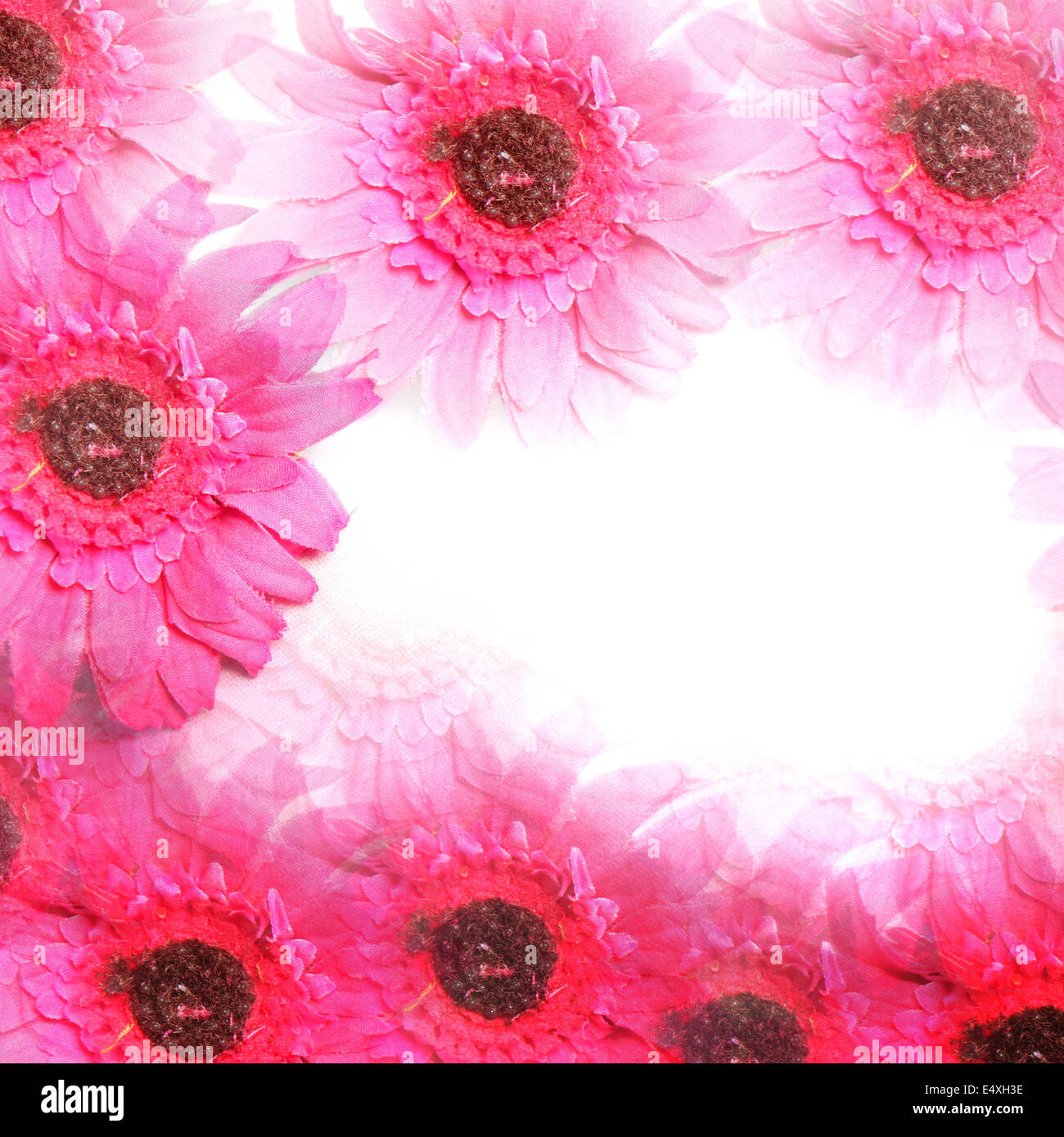 Colourful pink flower border Stock Photo - Alamy