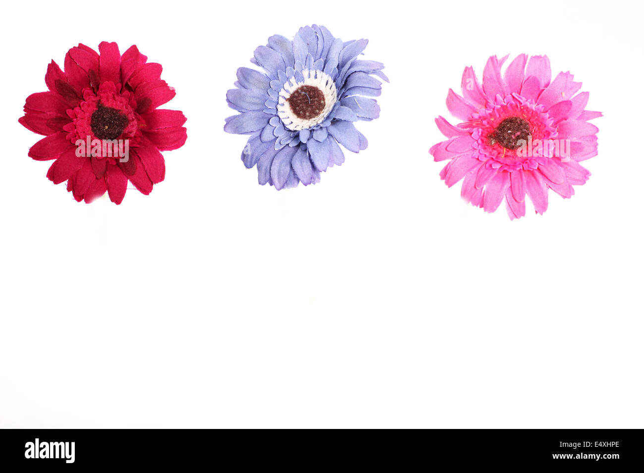 Vivid flower colors Cut Out Stock Images & Pictures - Alamy
