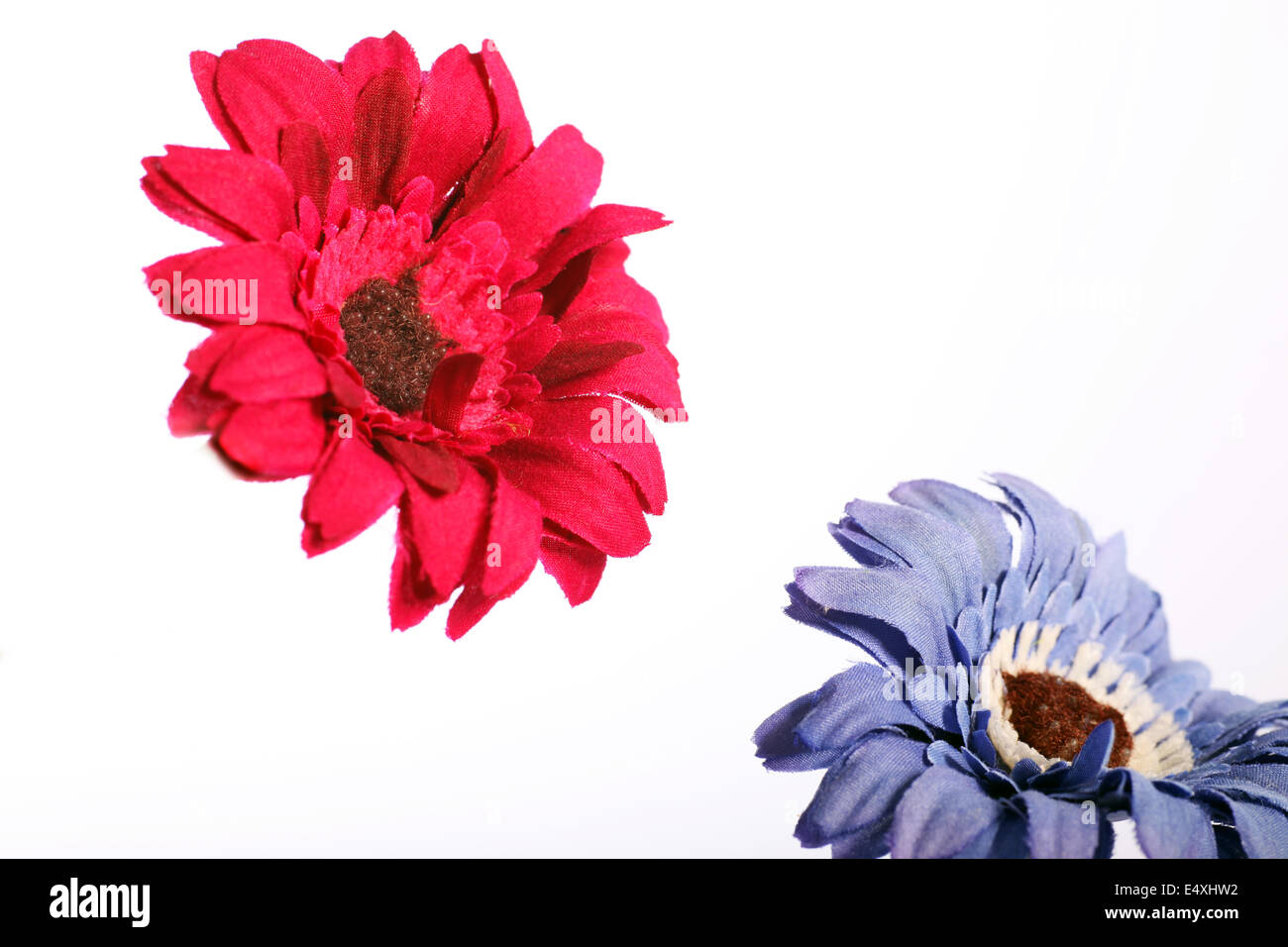 Vivid blue purple blossoms hi-res stock photography and images - Alamy