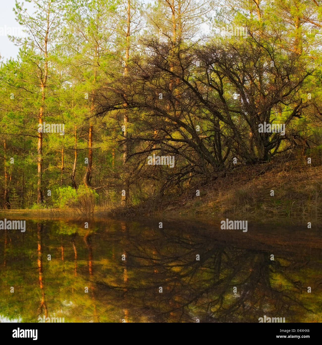 Lanscape hi-res stock photography and images - Alamy