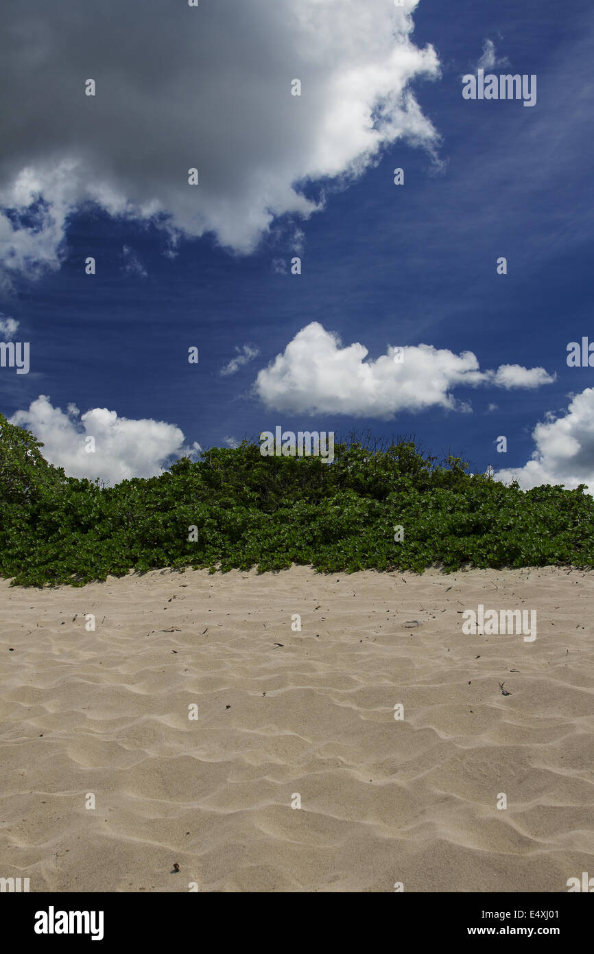 Beachbeach hi-res stock photography and images - Alamy