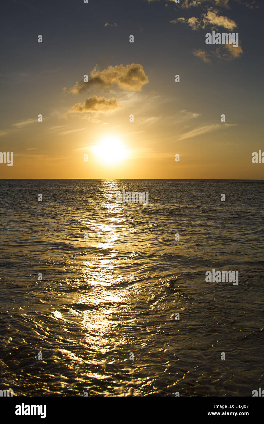 Going into the ocean Stock Photo - Alamy