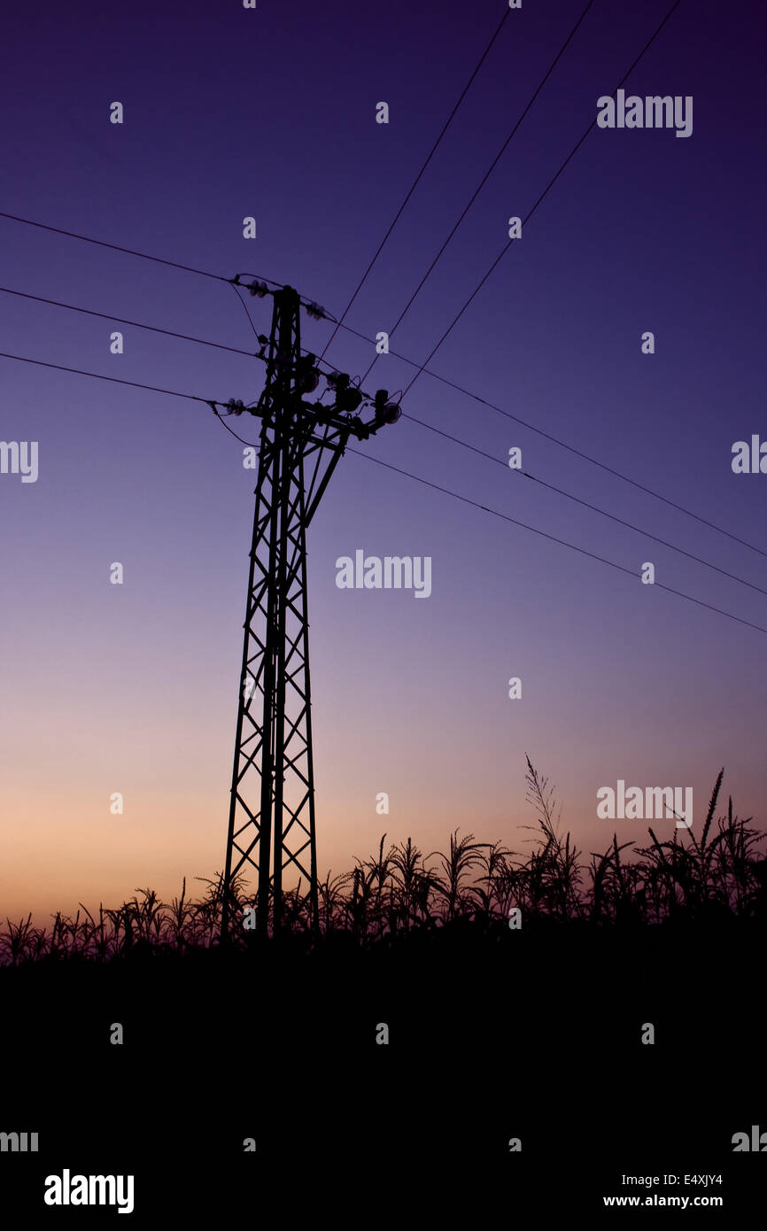 electric pole silhouette Stock Photo - Alamy