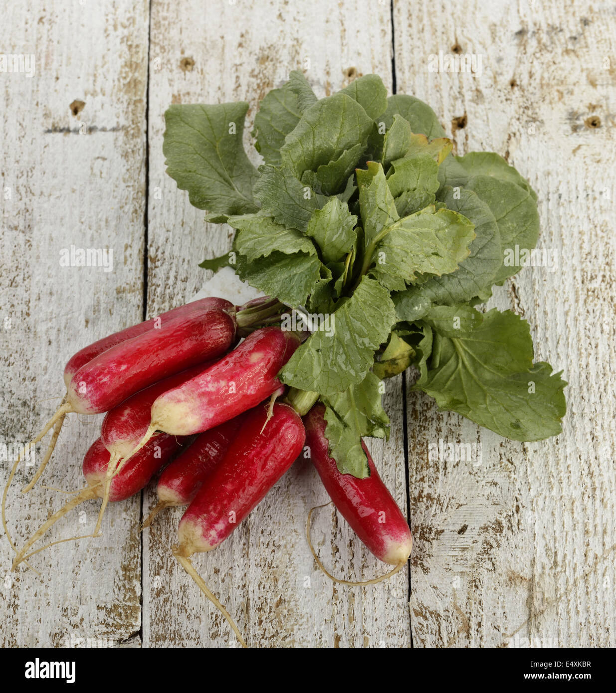 Fresh radish hi-res stock photography and images - Alamy