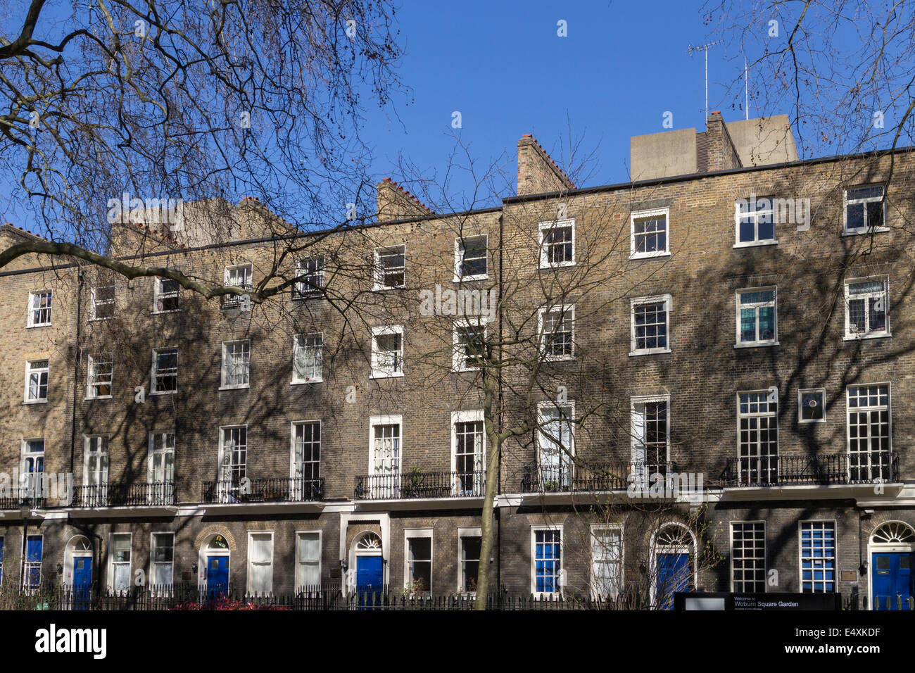 Georgian houses on Woburn Square - London Stock Photo - Alamy
