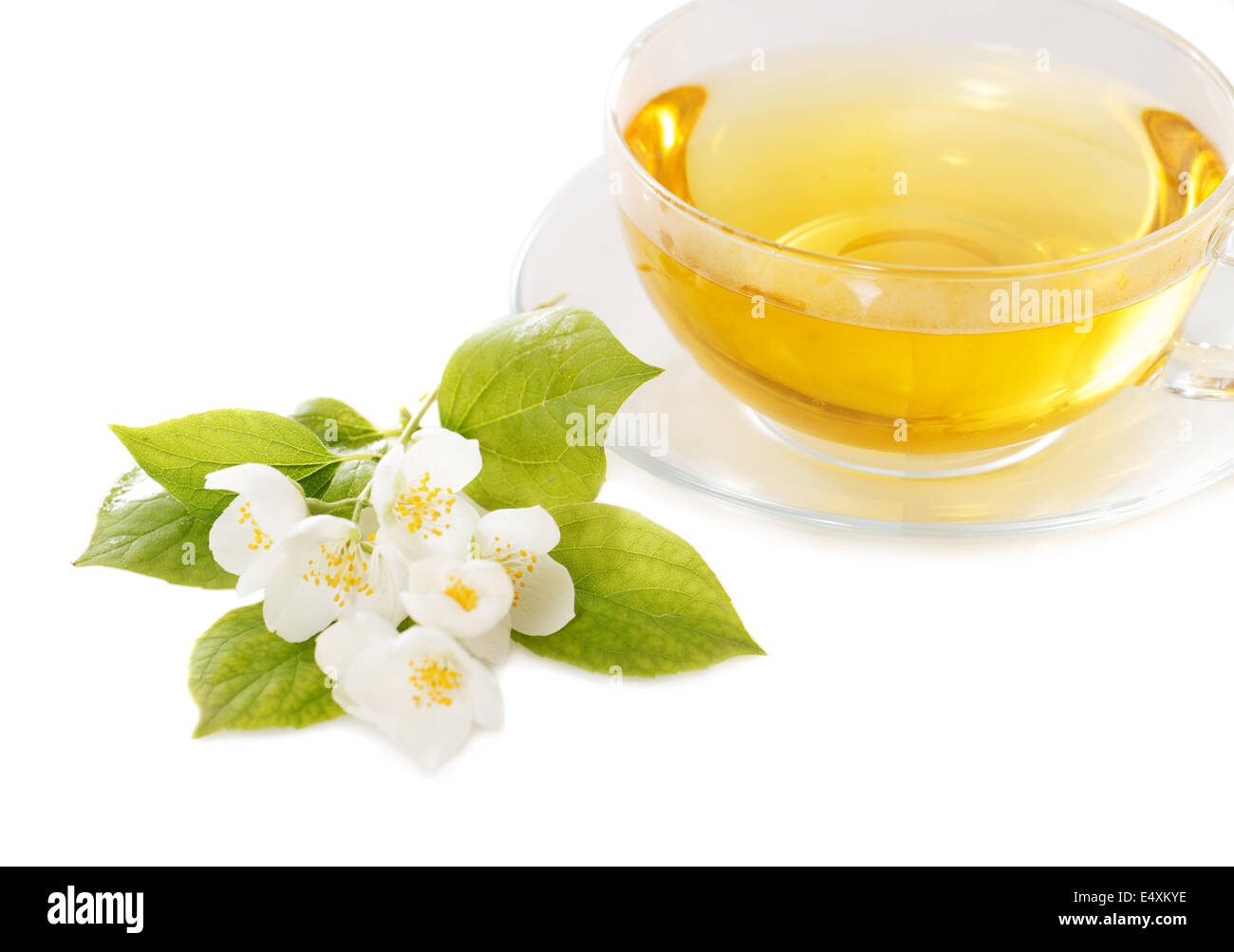 Jasmin plant hi-res stock photography and images - Alamy