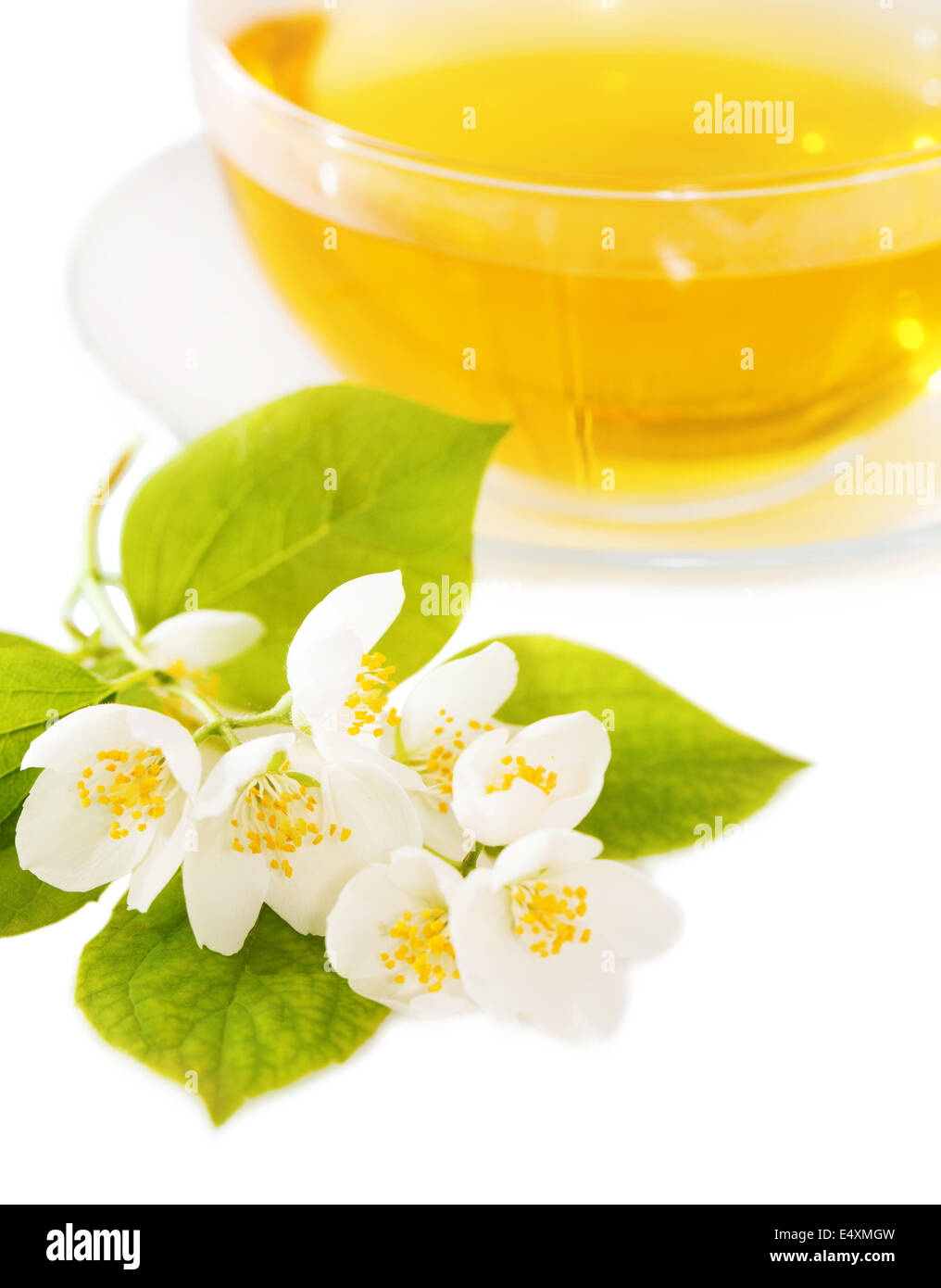 Cup of the jasmin tea isolated Stock Photo - Alamy