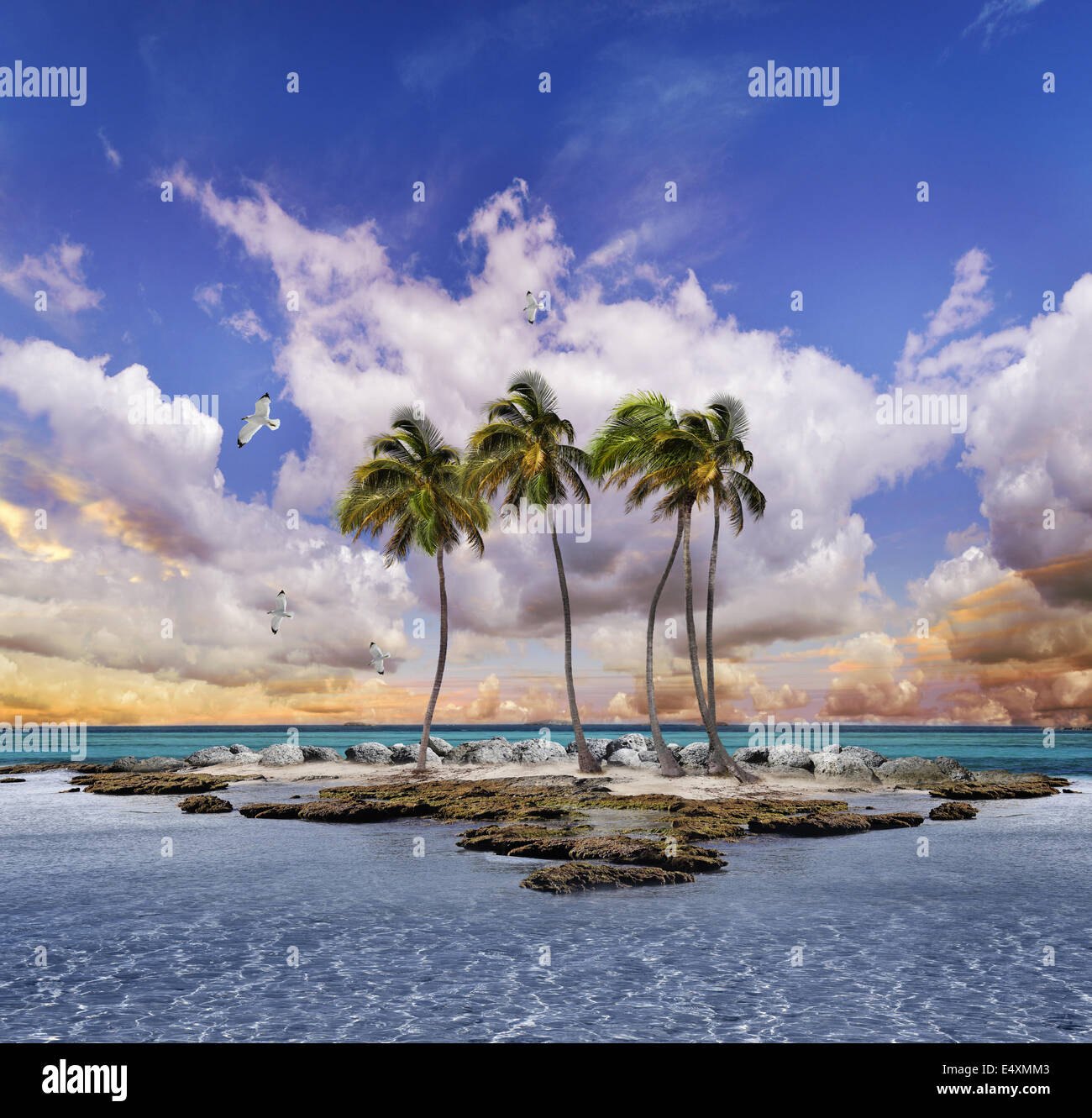 Landscape tropical hi-res stock photography and images - Alamy