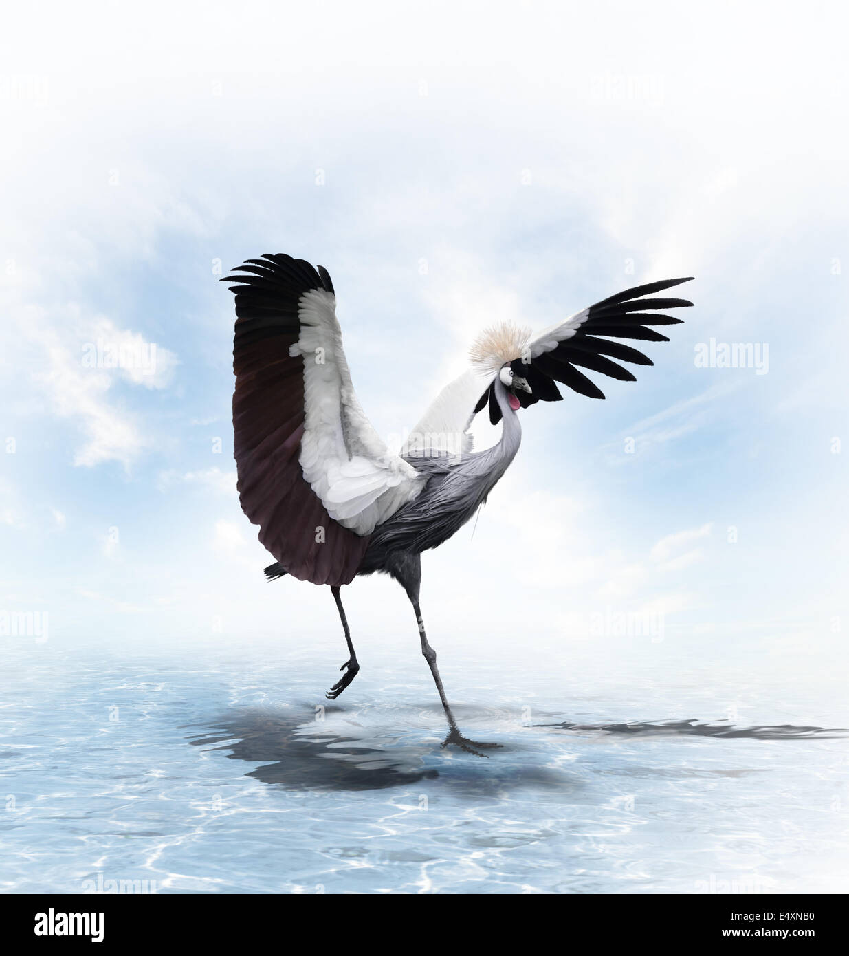 Crane with wings open hi-res stock photography and images - Alamy