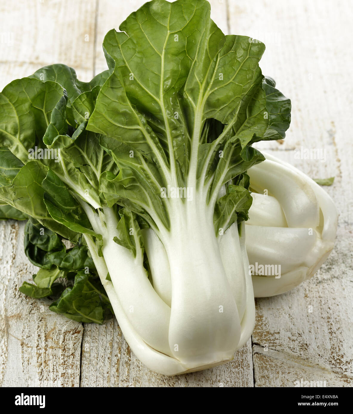 Choy Sum High Resolution Stock Photography and Images - Alamy