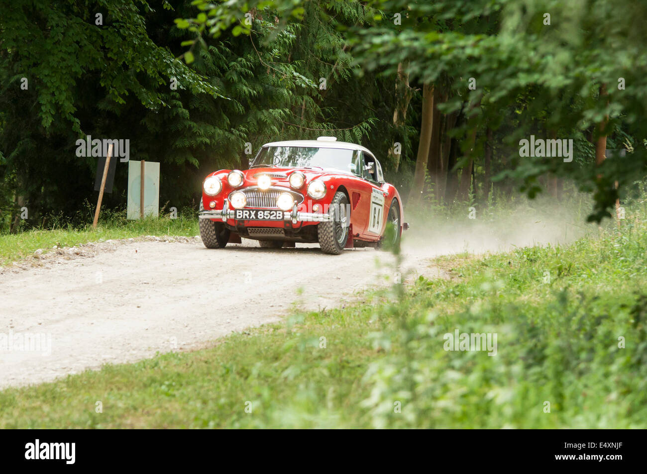 The forest rally stage hi-res stock photography and images - Alamy
