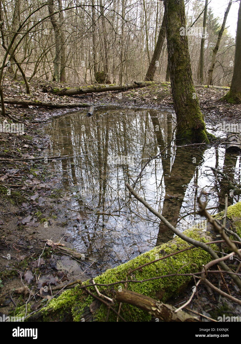 Tleni hi-res stock photography and images - Alamy